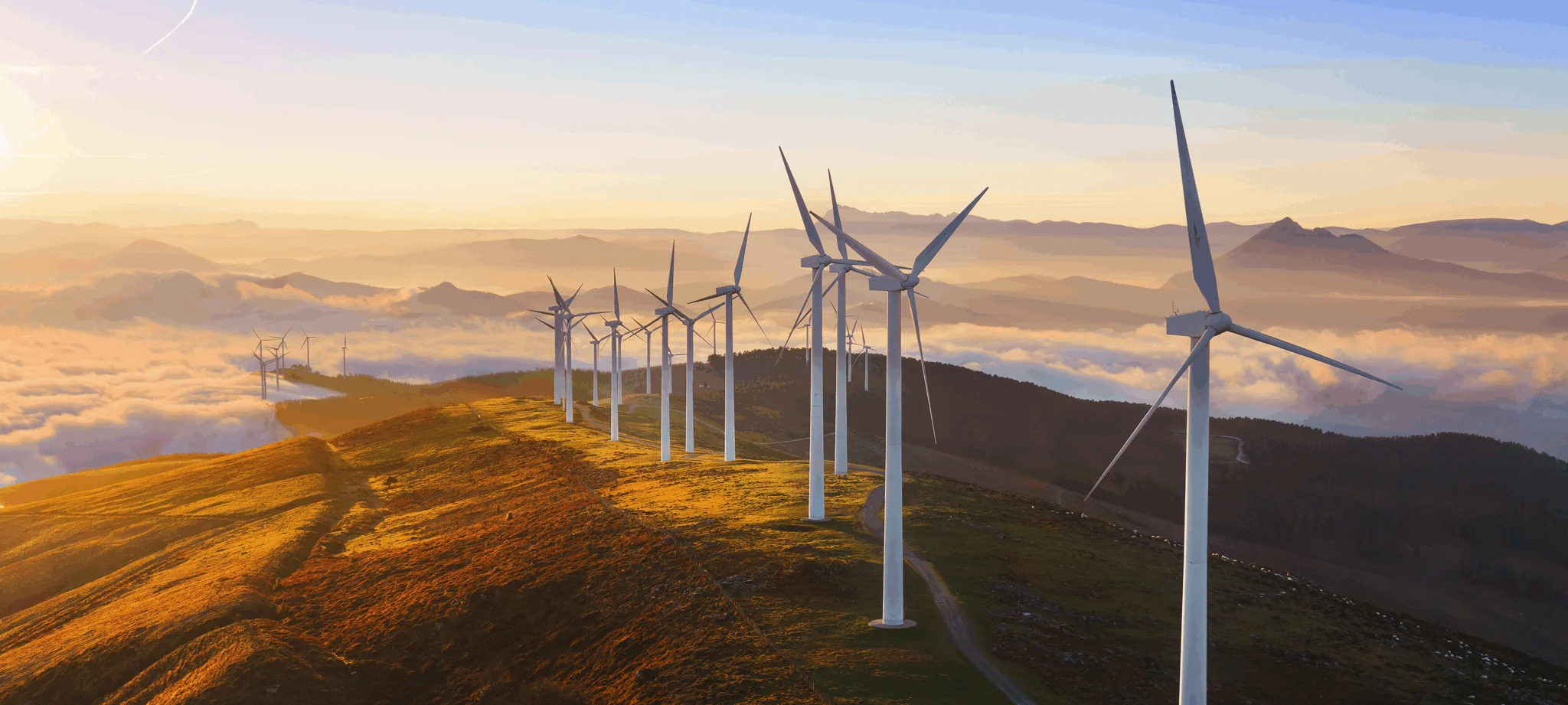 Coal Transition Commission led by France and Indonesia outlines ...